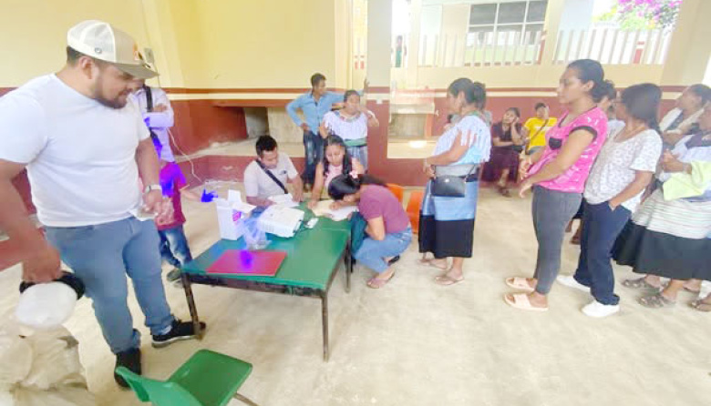 Chilón capacita en manejo sanitario de aves de traspatio - Diario de ...