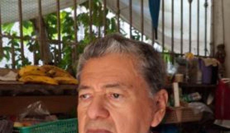 Mi vida en Santo Domingo Lakam-ha (segunda parte) - Diario de Palenque